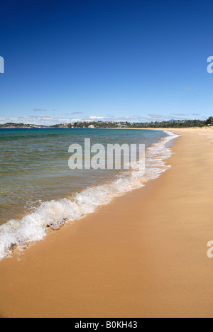 Aslings Beach in Eden, New South Wales, Australia Stock Photo - Alamy