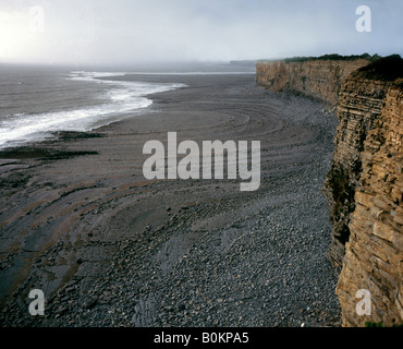 The stones and cliffs of Llantwit Major Beach in the evening sun, South ...