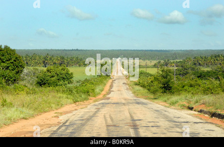 Road in Rural Mozambique Stock Photo - Alamy