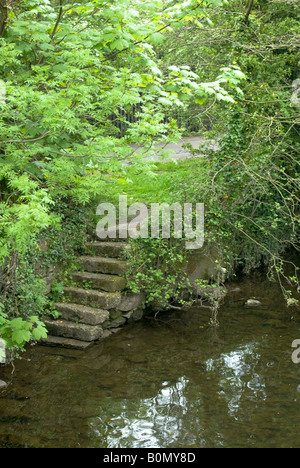Stone steps leading down to the river onder willow trees in Jarnac ...