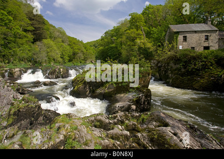 Cenarth falls and old flour mill Cenarth Falls Cardigan Wales UK Stock ...