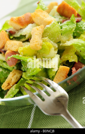 Fresh green salad served in elegant Mediterranean restaurant style ...