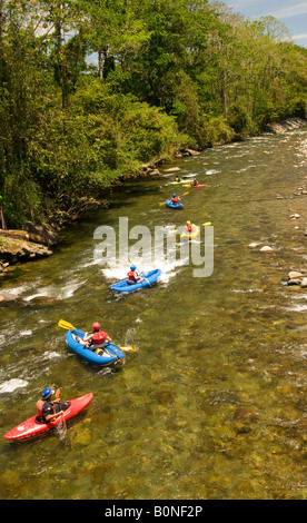 COSTA RICA Whitewater enthusiasts rafting on the Reventazon River ...