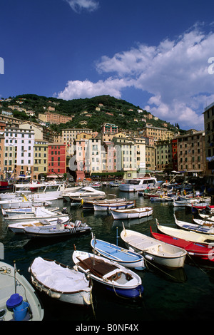 Harbor of the fishing village in Camogli in Genoa-Italy Stock Photo - Alamy