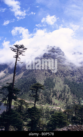 Tenga River Flowing, Arunachal Pradesh, India Stock Photo - Alamy