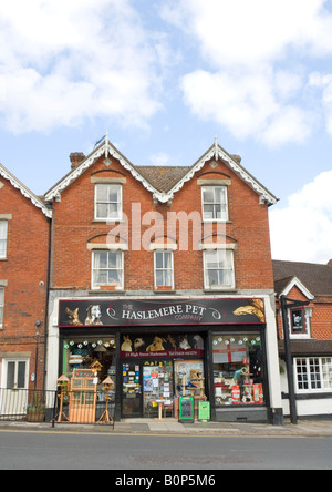 Shop Haslemere High Street Surrey UK Stock Photo: 17749887 - Alamy