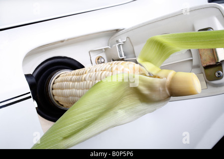 Biofuel bio fuel: corn in gas tank of car Stock Photo - Alamy