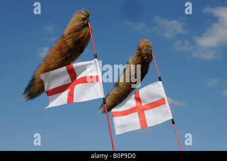 Tiger tails and St George flags accessories on mod scooter Stock Photo ...