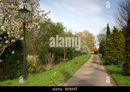 Spring walk from Itteringham to the local water mill "North Norfolk" UK ...