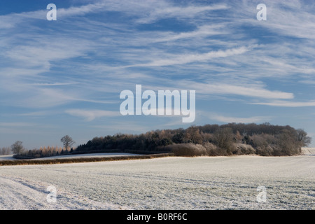 Wintry White Landscape, Creaton, Northamptonshire, England, UK Stock ...