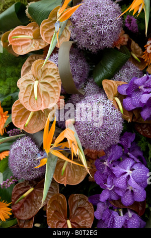 Exotic flowers in professional arrangement Stock Photo - Alamy