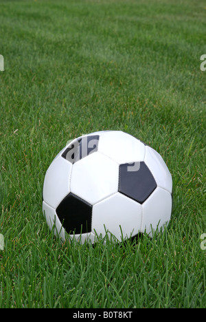 Soccer - UEFA European Championship 2008 - Group B - Austria v Poland ...
