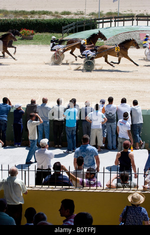 Malta Horse Racing Track Marsa Malta Stock Photo: 17757695 - Alamy