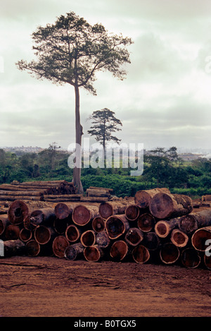 Deforestation, Ivory Coast Stock Photo - Alamy