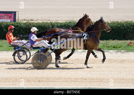 Malta Horse Racing Track Marsa Malta Stock Photo: 17757695 - Alamy