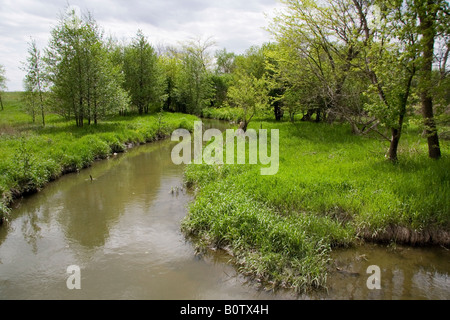 Springbrook Prairie Forest Preserve Stock Photo - Alamy