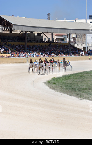 Horse trot racing Stock Photo - Alamy