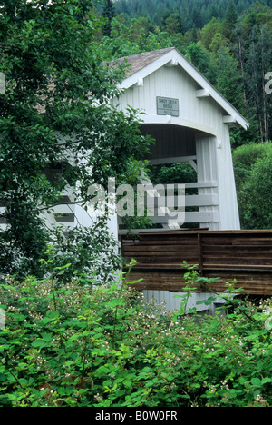 Sandy Creek Covered Bridge Southern Remote Coos County Bay Oregon USA ...