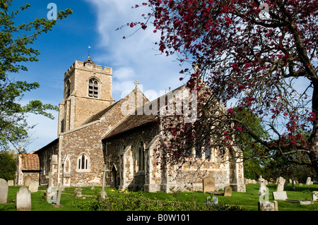 St Andrews Parish Church Caxton Cambridgeshire England Stock Photo - Alamy