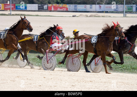 Malta Horse Racing Track Marsa Malta Stock Photo - Alamy
