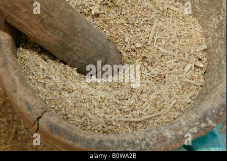 Millet, Houssere Faourou, Cameroon, Africa Stock Photo - Alamy