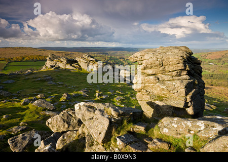 England, South Devon, Dartmoor. Hound guarding entrance to Hayford Hall ...