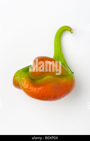 Red chili pepper deformed shape Stock Photo - Alamy