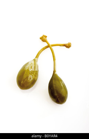 Caper fruit with stems Stock Photo - Alamy