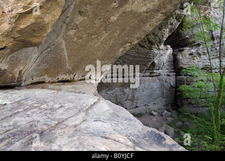 Natural Arch Daniel Boone National Forest Whitley City Kentucky USA ...