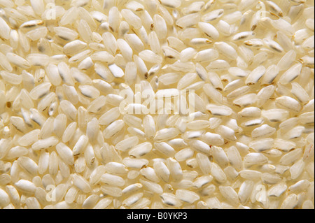 round grain rice background Stock Photo - Alamy