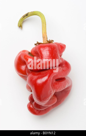 Red chili pepper deformed shape Stock Photo - Alamy