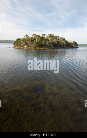 A small isolated tree covered island in Wilson Inlet, named Honeymoon ...