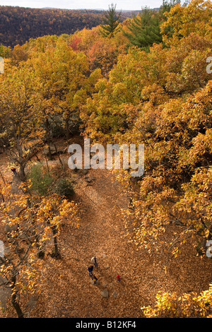 SENECA OVERLOOK COOK FOREST STATE PARK WESTERN PENNSYLVANIA USA Stock ...
