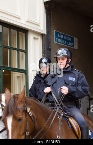 Garda Siochana Irish police officer behind a car Stock Photo - Alamy