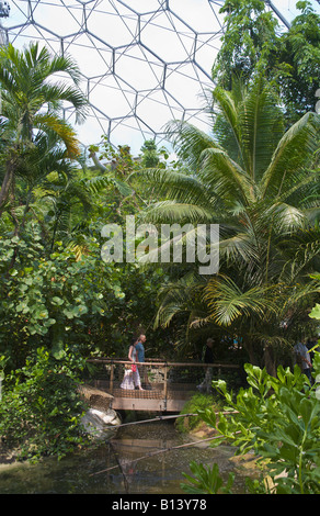 Visitors inside the Tropical Biome at the Eden Project Stock Photo - Alamy
