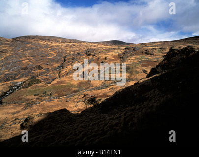 Scenic narrow path winding through dense evergreen shrubs and conifer ...