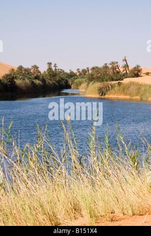 Umm al Maa oasis, Idehan Ubari, Libya Stock Photo - Alamy