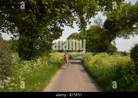 Countryside and Quiet Lane Gimingham Norfolk May Stock Photo - Alamy