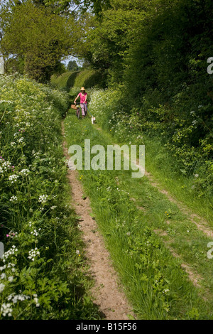 Countryside and Quiet Lane Gimingham Norfolk May Stock Photo - Alamy