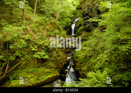 Upper Cynfal Falls near Llan Ffestiniog North Wales Stock Photo - Alamy