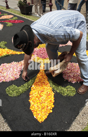 Carefully arranging rose petals on the flower carpets made from petals ...