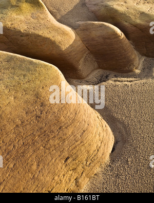 Sandstone formations on the Northumbrian coast near Low Hauxley ...