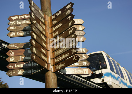 Chester Zoo visitor direction signs on wooden pole Stock Photo - Alamy