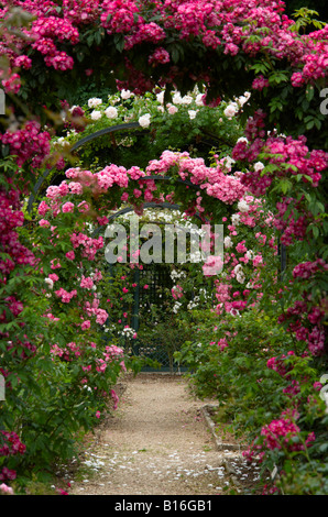 Roseraie du Val-de-Marne L'Hay-les-Roses (near Paris) France Stock ...