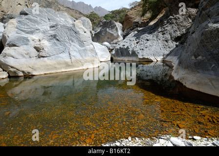 Water spring in Jabal AL-Akhdar, Oman Stock Photo - Alamy