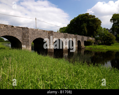 Donamon Castle Bridge, Roscommon, Ireland Stock Photo - Alamy
