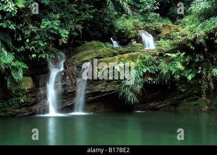 Labi Falls, Brunei Darussalam Stock Photo - Alamy