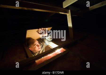 Loft space attic low roof pitch & headroom in domestic house timber ...