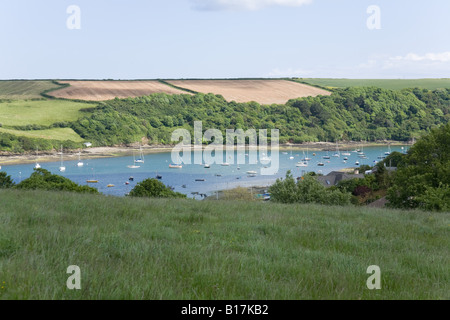 Percuil river near St Mawes Cornwall England Stock Photo - Alamy