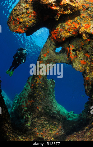 Diver at Reef Debri Bok Bay Susac Island Adriatic Sea Croatia Stock ...